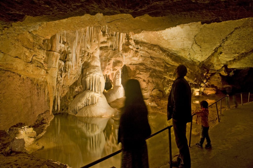 Les Grottes de Lacave - Parc St Vincent