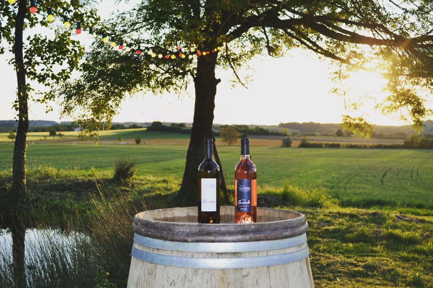 Domaine de Sauban - Parc St Vincent